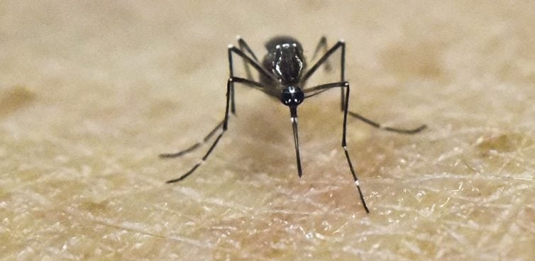 WARNING: MA town issues voluntary curfew until October due to EEE outbreak