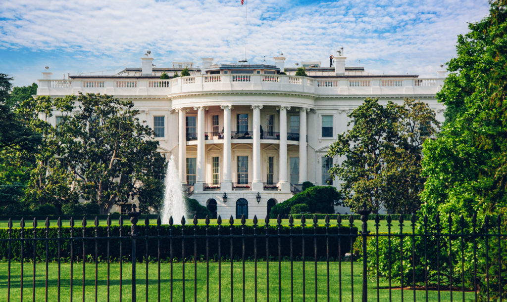 WATCH: Trump inspects White House lawn, announces plans for new flag poles