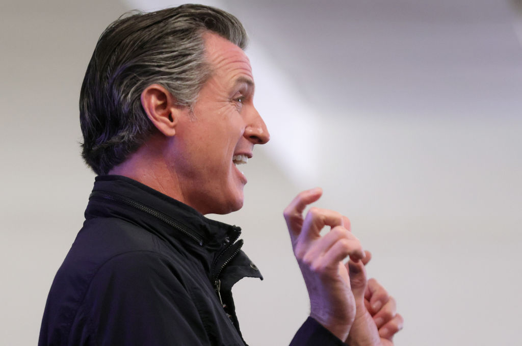 REVEALED: Who is responsible for the wild, Trump-trolling posts on ...