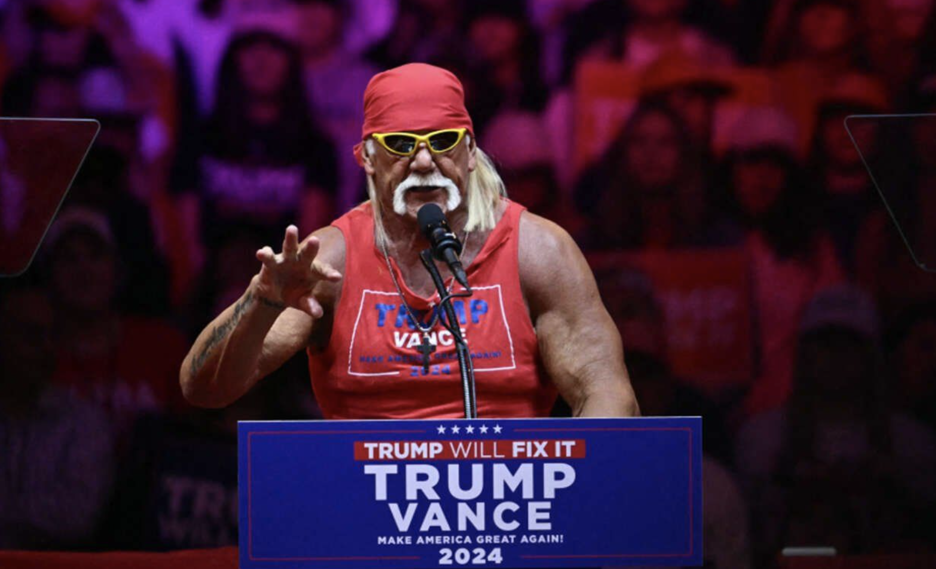 SUGGESTION: Hulk Hogan for Senate?